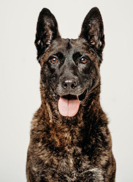 Stories - NFTA Elements