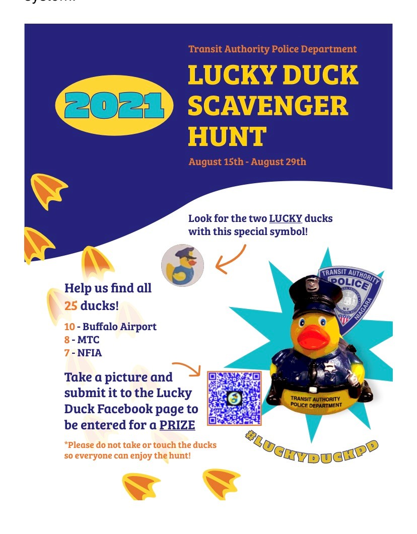 Please Help Our TAPD Find Their Ducks - NFTA Elements