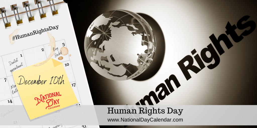 Recognizing National Human Rights Day - NFTA Elements